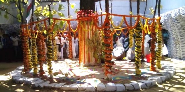 Sarhul Festival: A Tribute to Nature & Tribal Heritage – Indrosphere