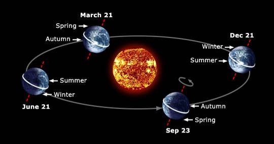 Makar Sankranti: Celebration of the Sun & Harvest in India – Indrosphere