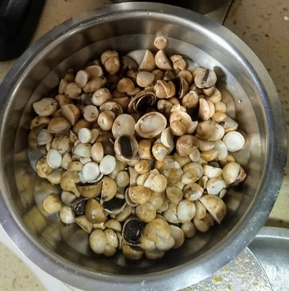 Rugda: The Elusive Forest Mushroom of Jharkhand – Indrosphere