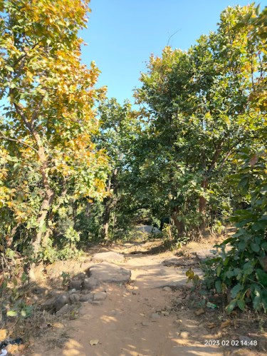 Echoes in Stone: A Journey to the Isko Caves of Jharkhand – Indrosphere