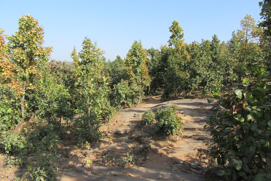 Echoes in Stone: A Journey to the Isko Caves of Jharkhand – Indrosphere