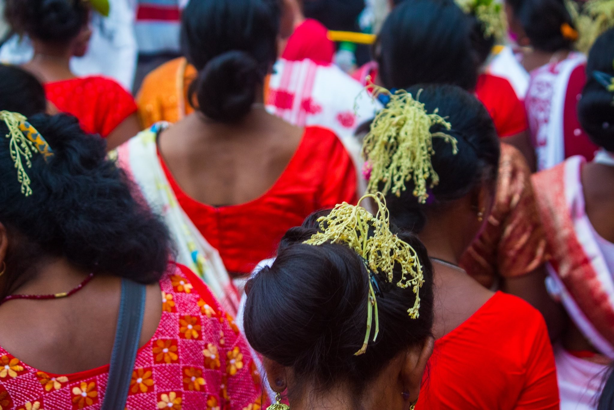 Sarhul Festival: Jharkhand’s Vibrant Celebration of Nature and Life ...