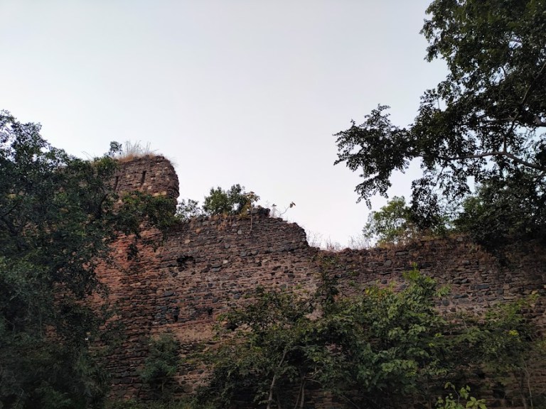 Betla National Park: Exploring the Wild Beauty – Indrosphere