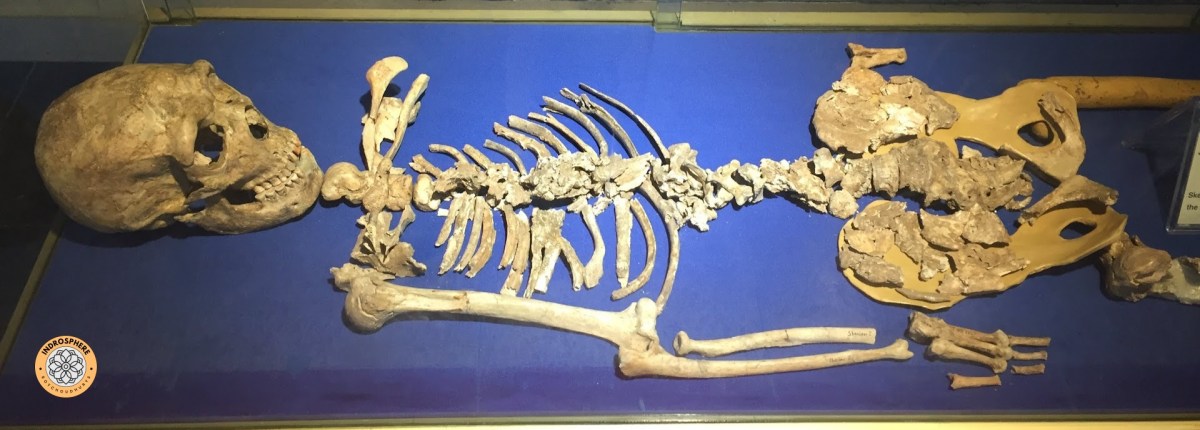 Shanidar 1: Unearthing the Life of a Neanderthal in Kurdistan’s ...