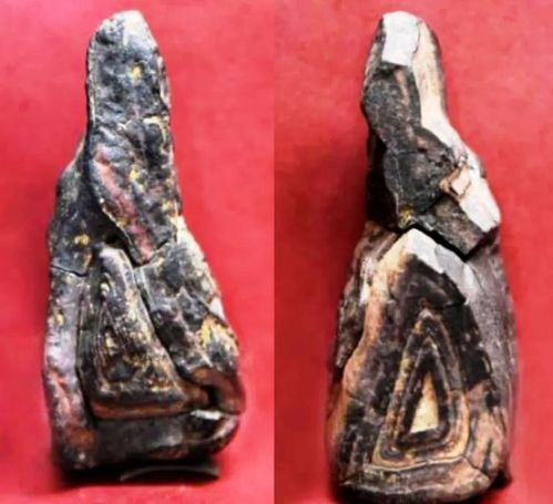 The Timeless Stone of Baghor: Unearthing the Divine Feminine in Madhya ...